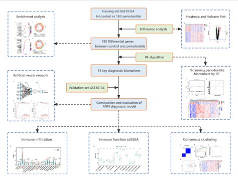 Figure From Construction Of Artificial Neural Network Diagnostic Model And Analysis Of Immune