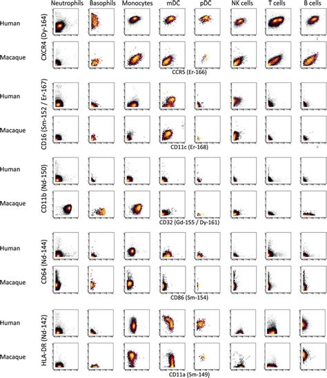 Bi Dimensional Dot Plot Representations Of Selected Markers On Human Download Scientific