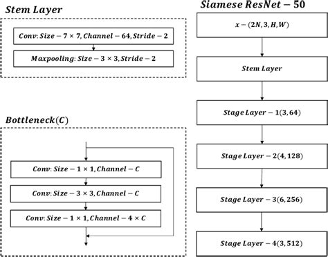 Graphical Illustration Of The Equivalent Implementation Of Siamese Download Scientific Diagram
