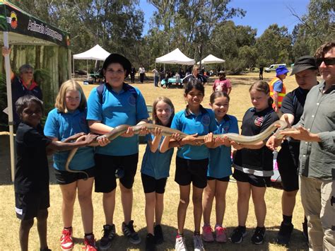 Elizabeth Downs Primary School Adelaide Sa