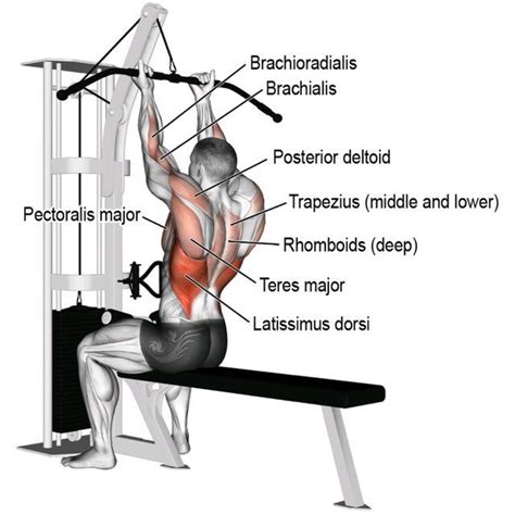 Cable Lat Pulldown Variations At Roy Breeden Blog