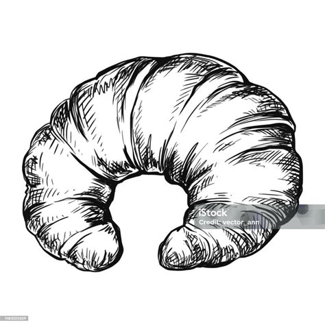 스케치 잉크 그래픽 크로와상 그림 초안 실루엣 그리기 흰색 라인 아트에 검정 맛있는 빈티지 에칭 푸드 디자인 검은색에 대한 스톡 벡터 아트 및 기타 이미지 Istock