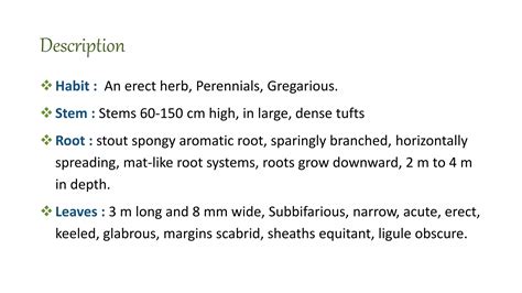 Vetiveria Zizanioides Ppt