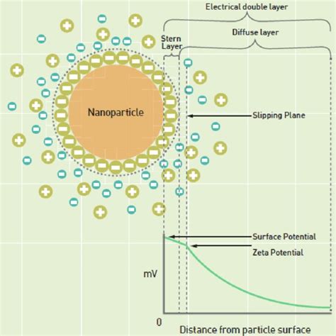 Showing The Double Layer Surrounding A Nanoparticle In A Given Medium Download Scientific Diagram