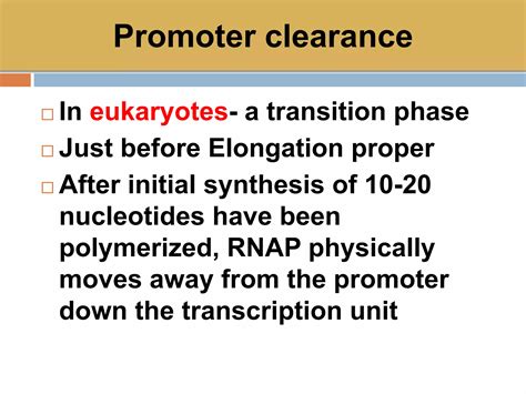 Transcription Of DNA PPTX