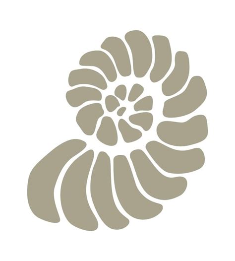 Premium Vector Sea Shell Silhouette