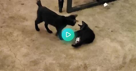 Best Bar Ever Album On Imgur