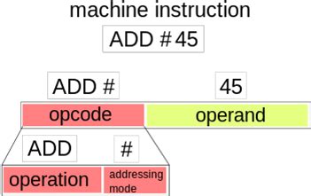 Structure And Role Of The Processor And Its Components Flashcards Quizlet