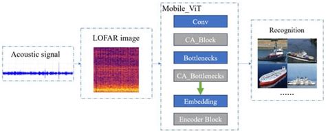 Mobile Vit Underwater Acoustic Target Recognition Method Based On Local Global Feature Fusion