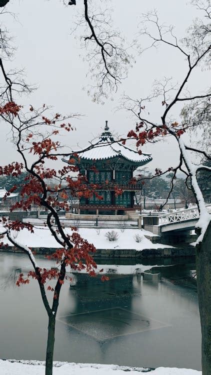 서울 경복궁의 눈 덮인 겨울 풍경 · 무료 스톡 사진