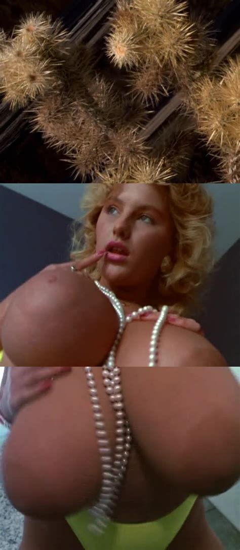 Pandora Peaks 2001 Intporn Forums