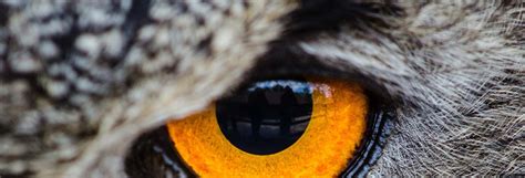 Deep Dive Mitigating Performance Hungry SQL Queries With WebReports