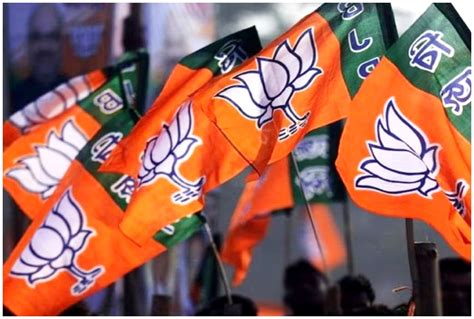 Jammu And Kashmir Assembly Elections Bjp Releases 3rd List Of 29