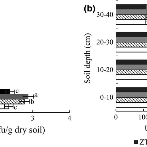 Mean Soil Biological Activities In The 040 Cm Soil Depth 2‐year