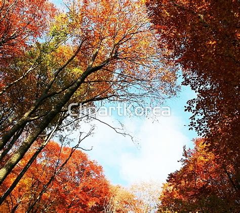 해외작가포토 클립아트코리아 통로이미지주