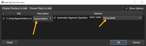 How Can I Load A Default Segment Color Config From Customized Filelike Export From Itk Snap