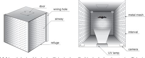 Figure 1 2 From Behavioral Evidence For Cone Based Ultraviolet Vision