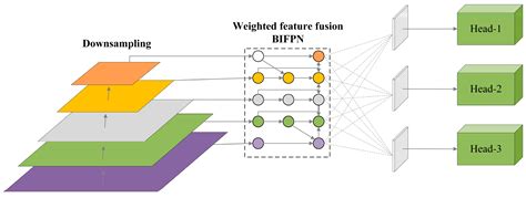 Yolo Adaptive Developments In Complex Natural Environments For Tiny