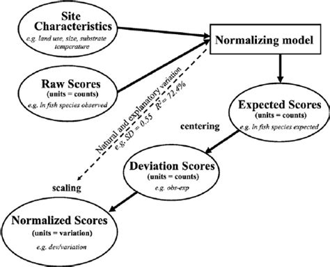 The Regional Normalization Process Download Scientific Diagram