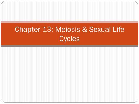 PDF MEIOSIS And SEXUAL LIFE CYCLESspeedwaybiology Weebly Com Uploads Ap