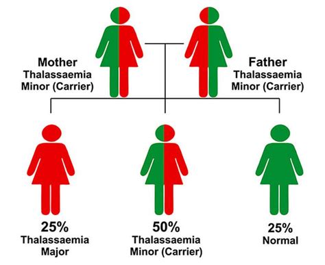 What Is Thalassemia Kitcc