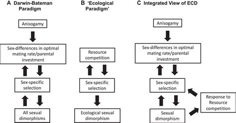 Understanding The Evolution Of Ecological Sex Differences Integrating Character Displacement