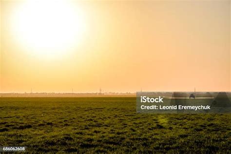 일몰 배경에 트랙터입니다 높은 바퀴 트랙터 젊은 밀에 비료를 만들고 있다 미세 하 게 분산 된 스프레이 화학 물질의 사용