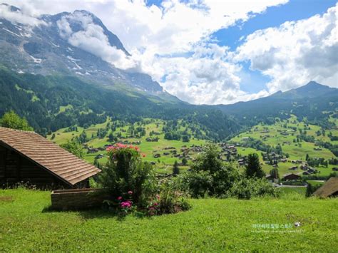 스위스 여행 앨리스할머니네 그린델발트 숙소 전통 샬레 네이버 블로그