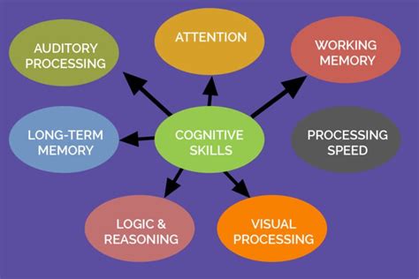 What Are Cognitive Skills Brain Ability Place