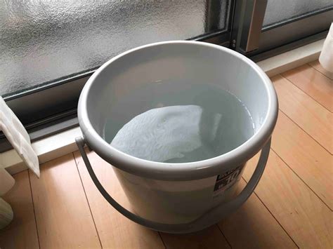 メダカの稚魚に水換えは必要 めだかやベース