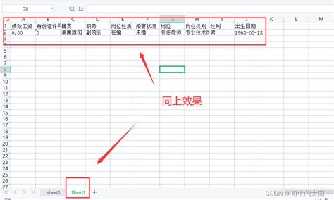 Js实现导出excel包含多个sheet（实现导出多个表格）js Export Excel导出两张表 Csdn博客