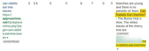 Types Of Bad Links To Avoid