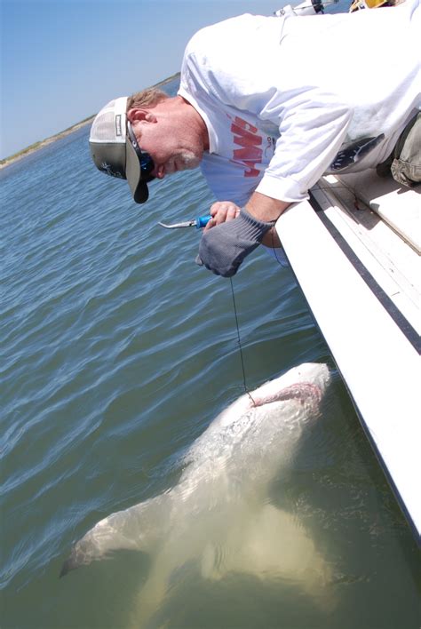 Target Coastal Inlets For Late Summer Shark Fishing Mossy Oak