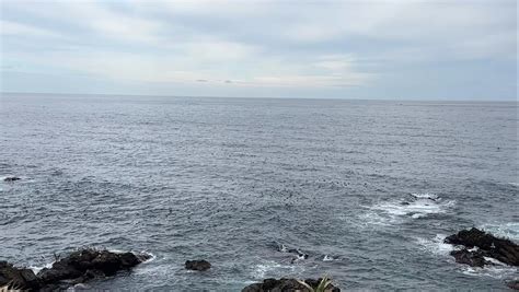 Koreasuksan 하늘자유내면 푸른 하늘 속 자유를 따라 날아오르며 내면의 진실은 구름 사이로 깨어난다 Instagram