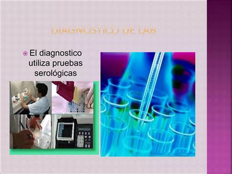 Bacterias Helicoidales E Intracelulares Y Sifilis Ppt