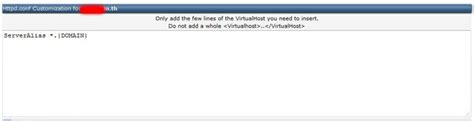 การทำ wildcard dns บน directadmin สำหรับทำ dynamic subdomain