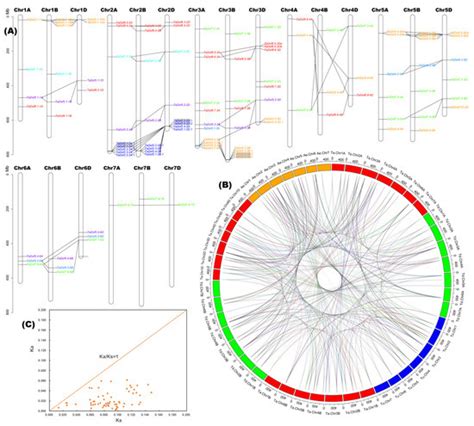 Agronomy Special Issue Bioinformatics Applied To Genetic Improvement Of Crop Species