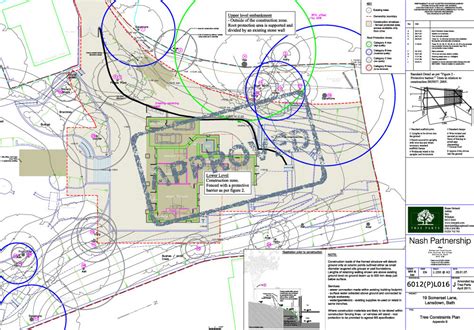 Nash Partnership Tree Parts Planning Tree And Ecology Solutions Bath Bristol And South