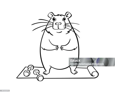 귀여운 카피바라가 요가를 하고 있습니다 벡터 일러스트 레이 션 손으로 그렸습니다 색칠 공부 책 엽서 템플릿 겨울에 대한 스톡 벡터 아트 및 기타 이미지 Istock