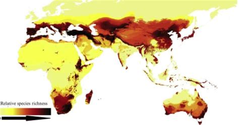 Ciencia Primer Mapa De Especies De Abejas En Todo El Mundo Infobae