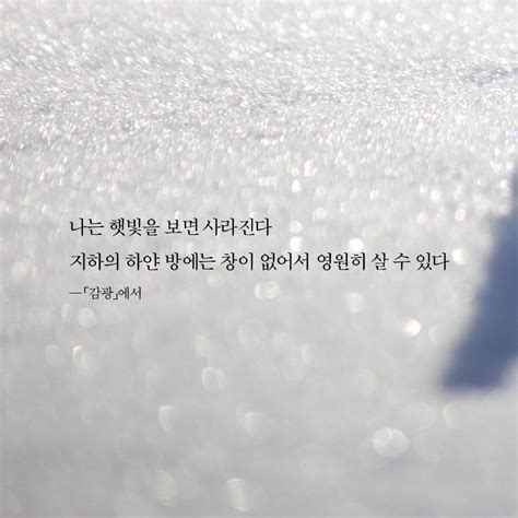 민음사 On Twitter 전수오는 우리를 외롭고 신비한 환생 극장으로 안내한다 이 극장은 일인용이다 한 사람만이 들어갈