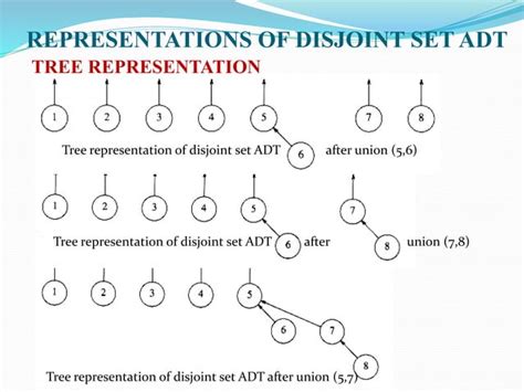 Lecture Disjoint Set PPTX