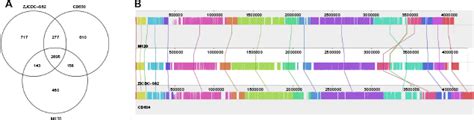 Comparative Genome Analysis Results Of C Difficile Strains Zjcdc S82