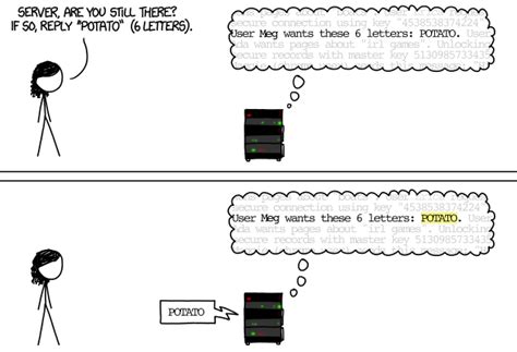 Seacat And Openssl Heartbleed Bug · Teskalabs Blog