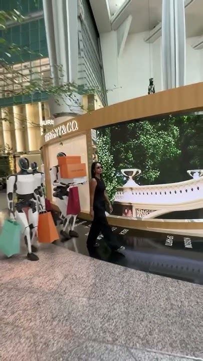 Why The Super Star And Millionaire Like To Use Robot Rproject Tidymodels Rstars Rcode Youtube