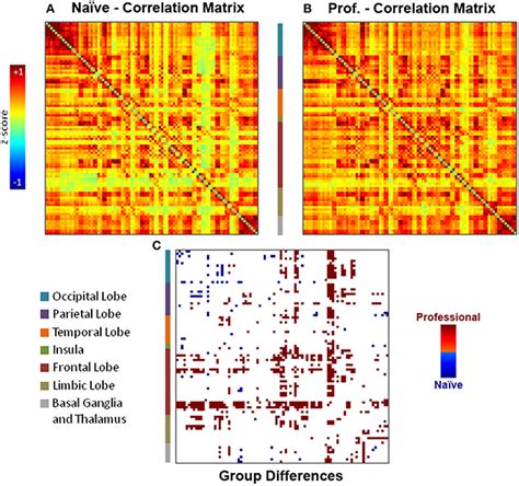 Individual Functional Connectivity Matrices Obtained With The Download Scientific Diagram