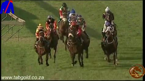 Disco Al Gujadhur Stable Youtube