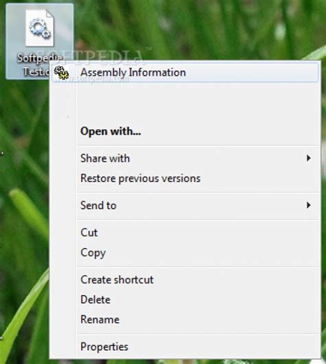 Assembly Information Download Softpedia