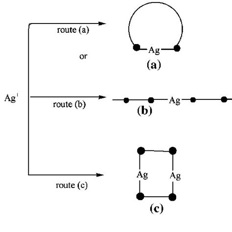 Chemical Structure Showing The Coordination Of Silveri In 1d Download Scientific Diagram