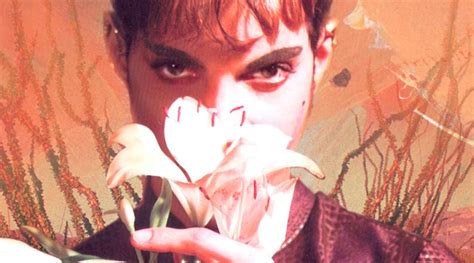 Prince Official Website